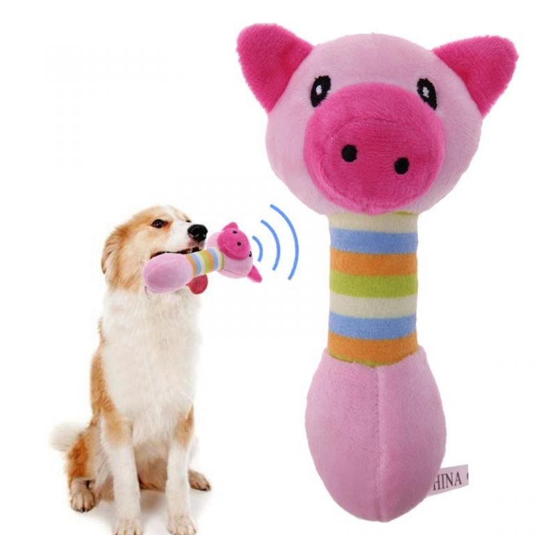 Pet Chew Squeaker Toy — Luxenmart Up to 80% Off, All For You
