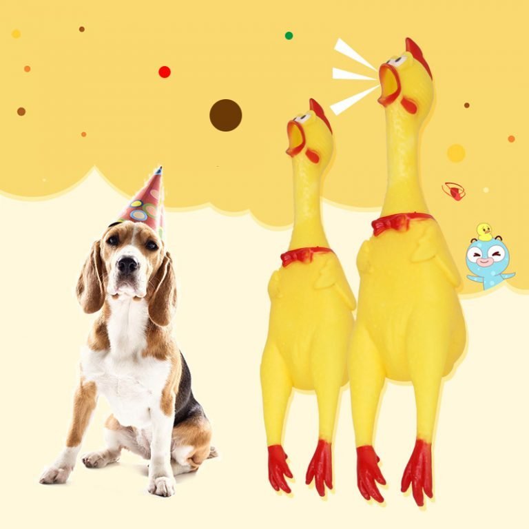 Dog Squeak Chicken Toy — Luxenmart Up to 80% Off, All For You