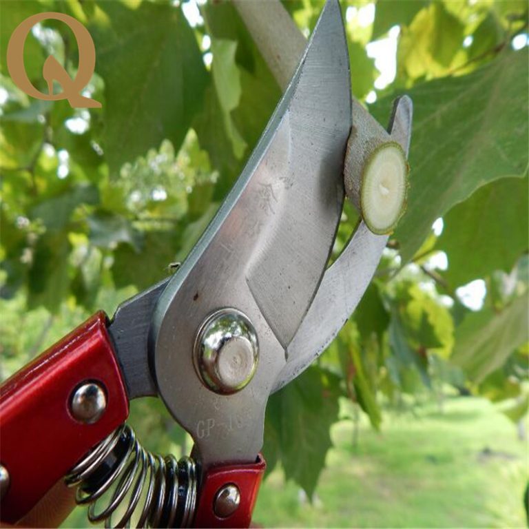 Garden Scissors — Luxenmart Up to 80% Off, All For You