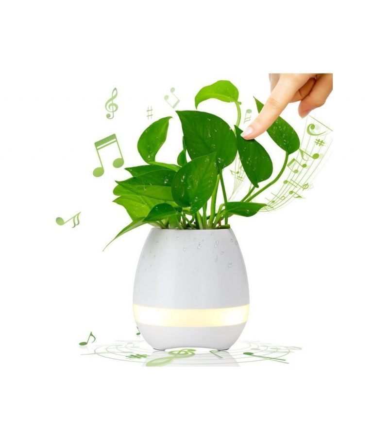 LED Music Planter Pot — Luxenmart Up to 80% Off, All For You