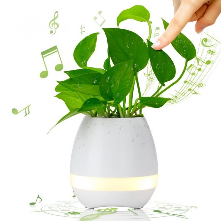 LED Music Planter Pot — Luxenmart Up to 80% Off, All For You