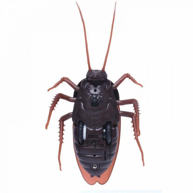 RC Cockroach — Luxenmart Up to 80% Off, All For You