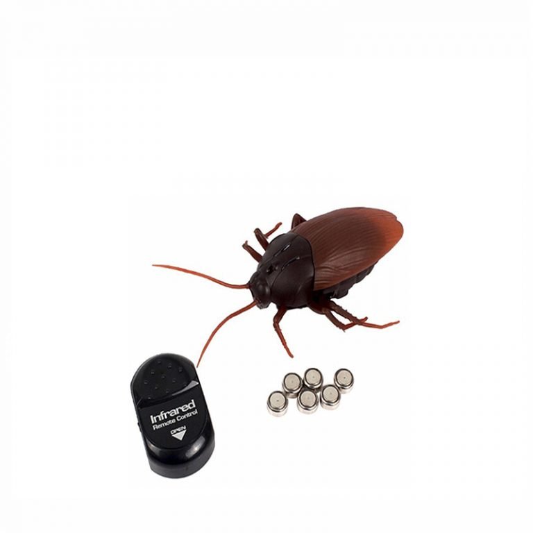 RC Cockroach - up to 80% OFF. Buy from Luxenmart