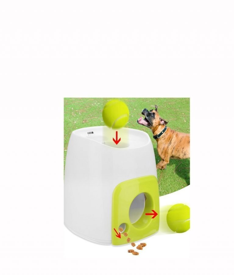 Ball Launcher — Luxenmart Up to 80% Off, All For You