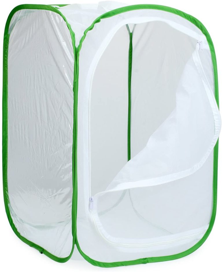 RESTCLOUD Insect and Butterfly Habitat Cage Terrarium Pop-up 23.6 ...