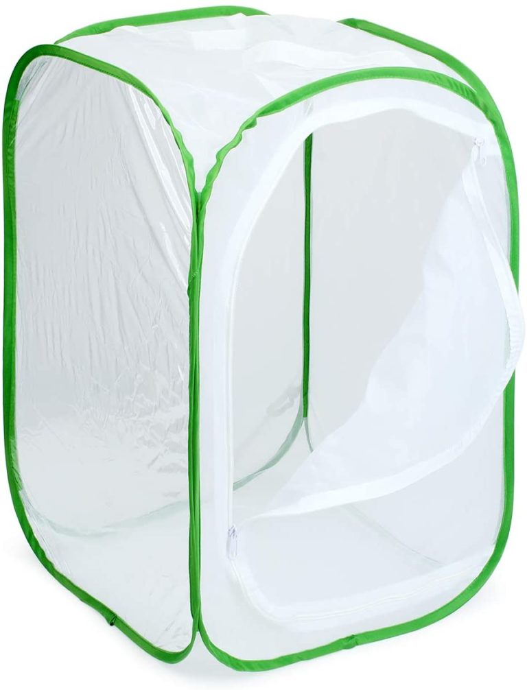 RESTCLOUD Insect and Butterfly Habitat Cage Terrarium Pop-up 23.6 ...