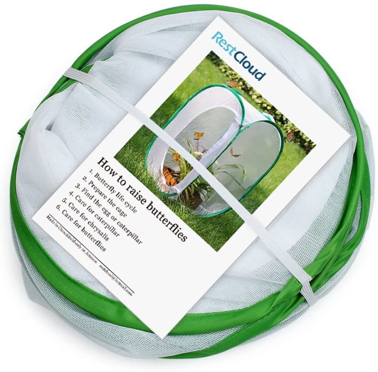 RESTCLOUD Insect and Butterfly Habitat Cage Terrarium Pop-up 23.6 ...